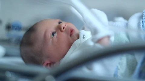 World Toddler Day Stock Videos – Royalty-Free HD & 4K Videos | Pond5