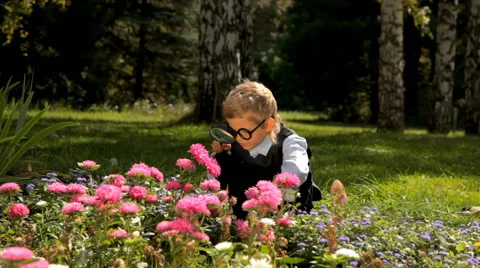 Little Glass Gardeb Stock Videos – Royalty-Free HD & 4K Videos | Pond5