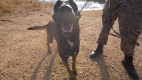 Sound Tracker Game Stock Videos – Royalty-Free HD & 4K Videos