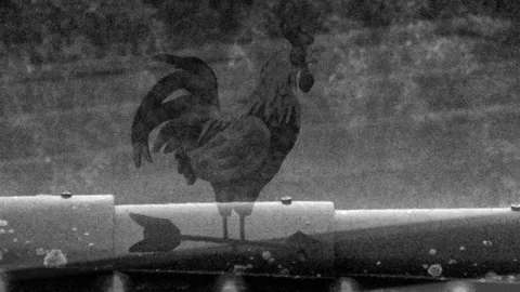 Curse\ Stock Videos – Royalty-Free HD & 4K Videos | Pond5