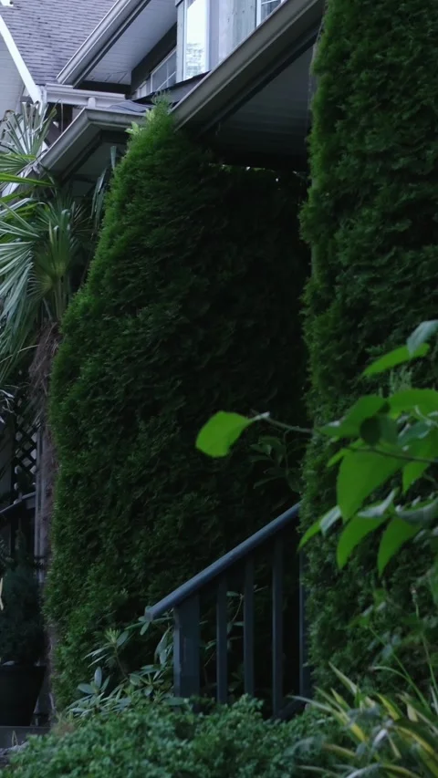 Custom built big luxury house with tripl... | Stock Video | Pond5