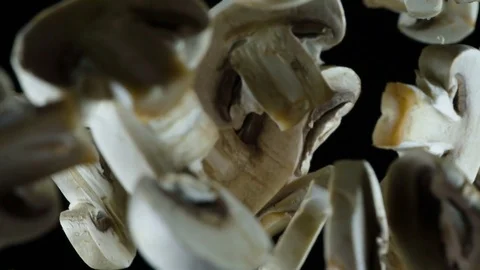 Cut Up Pro Stock Videos – Royalty-Free HD & 4K Videos | Pond5