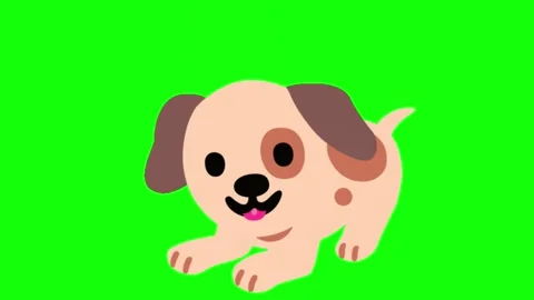 Cute Dog Gif Stock Videos – Royalty-Free HD & 4K Videos