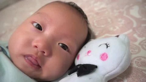 Cute baby boy with the cat toy | Stock Video | Pond5