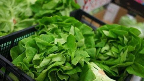 Him Depatment Stock Videos – Royalty-Free HD & 4K Videos