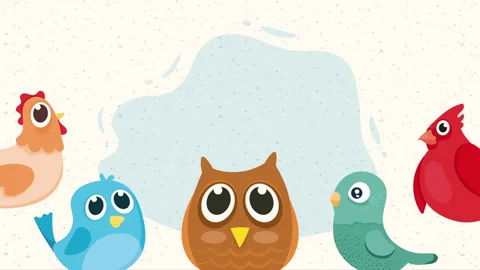 cute birds animals characters animation | Stock Video | Pond5