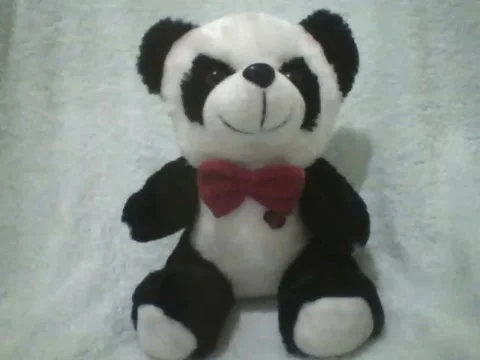 Cute Plushies Black Stock Videos – Royalty-Free HD & 4K Videos