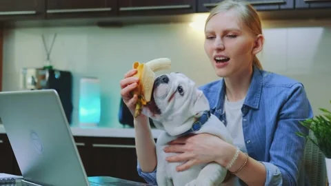 Banana Dog Stock Videos – Royalty-Free HD & 4K Videos | Page 3