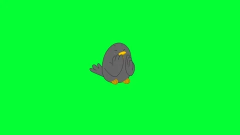 Cartoon Bird Green Screen Stock Video Footage | Royalty Free Cartoon ...