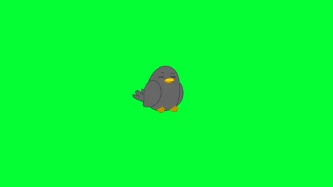 Cartoon Bird Green Screen Stock Video Footage | Royalty Free Cartoon ...