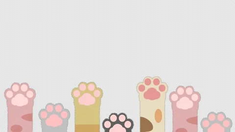 Cute cat hand animation frame repeat wit... | Stock Video | Pond5