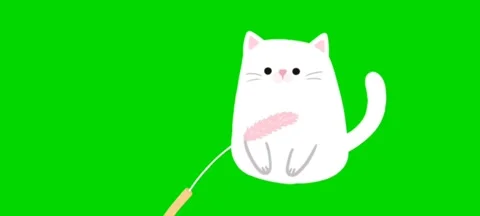 Cute cat pet animation and green screen | Stock Video | Pond5
