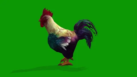 Cute Colorful Chicken Walking Left-3D An... | Stock Video | Pond5