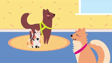 cute domestic mascots animation | Stock Video | Pond5