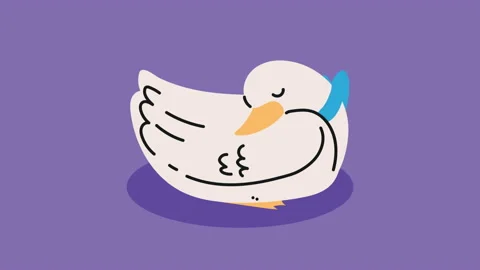 cute duck animal character animation | Stock Video | Pond5