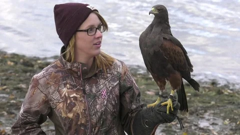 cute falconer girl and her harris hawk w... | Stock Video | Pond5