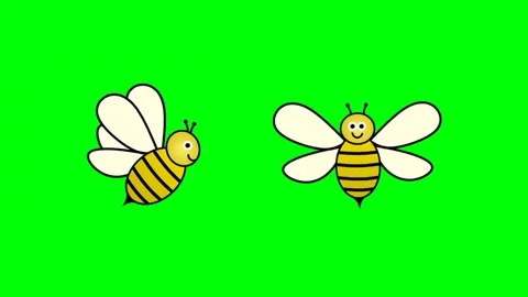 Cute flying bee animation on green scree... | Stock Video | Pond5