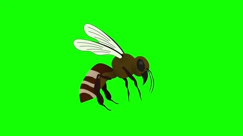 Cute flying bee animation on green scree... | Stock Video | Pond5