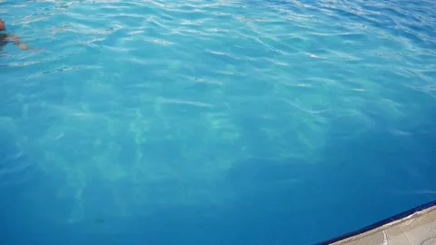 Cute girl in bikini jump in a swimming p... | Stock Video | Pond5