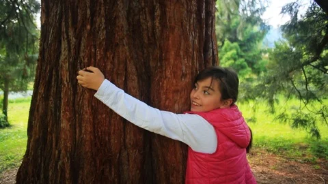 Cute girl hug big tree in garden smiling... | Stock Video | Pond5