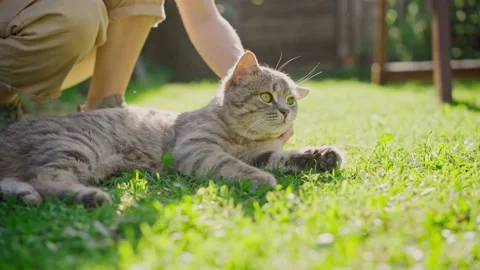 Its Him Stock Videos – Royalty-Free HD & 4K Videos