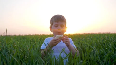 Bakery Background Cute Stock Videos – Royalty-Free HD & 4K Videos