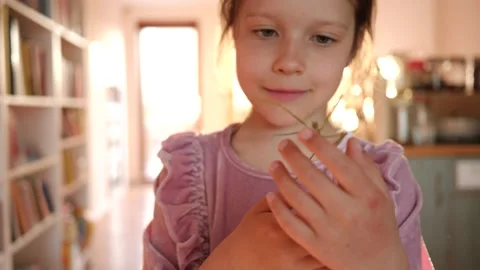 Cute As A Insect Stock Video Footage | Royalty Free Cute As A Insect ...