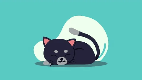 cute little black cat animation | Stock Video | Pond5