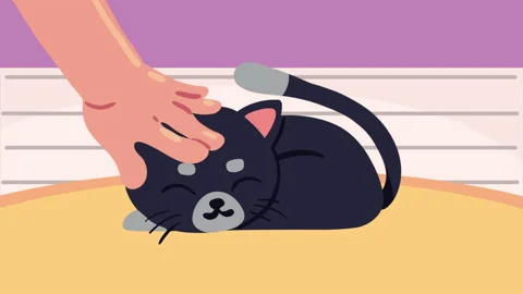 cute little black cat animation | Stock Video | Pond5
