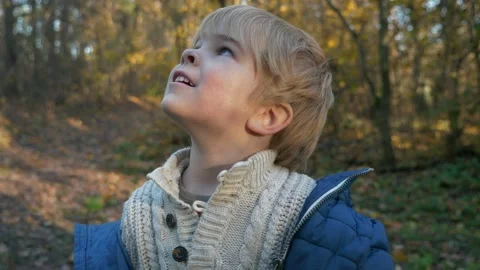 Cute Little Boy Looks at Beautiful Natur... | Stock Video | Pond5