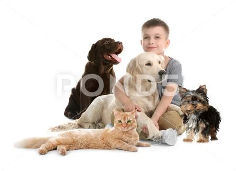 Photograph: Cute little child with his pets on white background #187053927