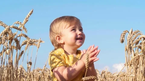 Cute little girl clapping hands in wheat... | Stock Video | Pond5