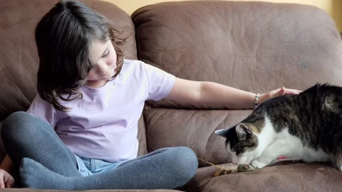 Cute little girl playing with cat on sof... | Stock Video | Pond5