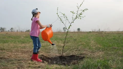 Cute little girl watering sapling tree | Stock Video | Pond5