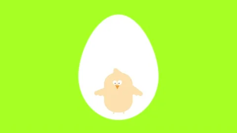 Right Chicks Stock Videos – Royalty-Free HD & 4K Videos | Pond5