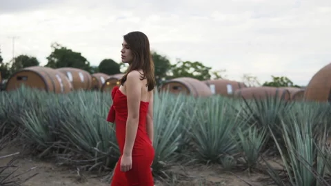 Cute model in formal red dress, modellin... | Stock Video | Pond5