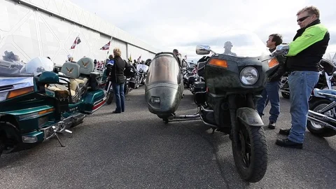 Sharley Dog Stock Videos – Royalty-Free HD & 4K Videos