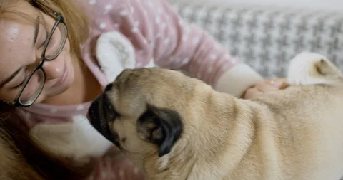 Cute pug dog kissing, licking face to th... | Stock Video | Pond5