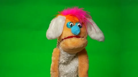 cute puppet on green screen | Stock Video | Pond5
