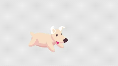 Cute puppy icon loop Animation video tra... | Stock Video | Pond5