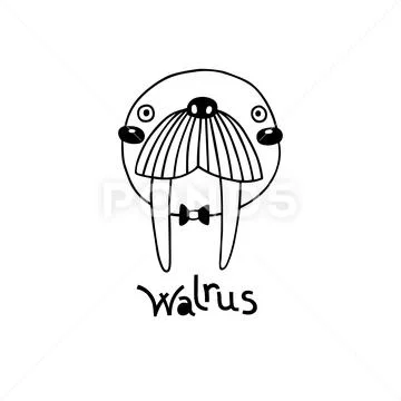 Cute, simple walrus face cartoon style. Vector illustration: Graphic ...
