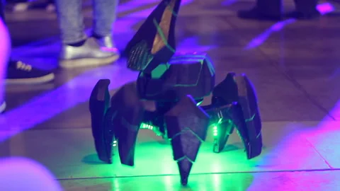 Shorty S Stock Videos – Royalty-Free HD & 4K Videos