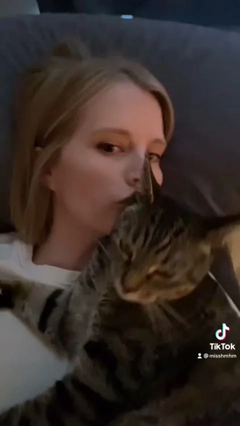Cute Tabby Cat Mimics Owner Brushing Her... | Stock Video | Pond5