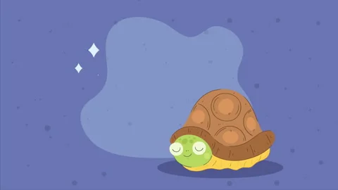 cute turtle hidden character animation | Stock Video | Pond5