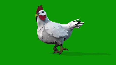 A cute white chicken run view from left ... | Stock Video | Pond5