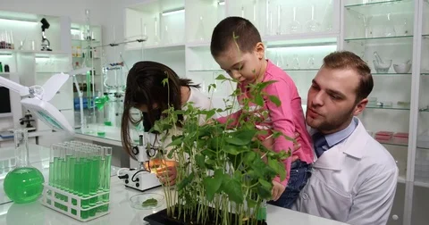 Young Scientists Girls Stock Videos – Royalty-Free HD & 4K Videos | Page 4