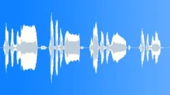 Cute Alert Sound Effects ~ Royalty Free Cute Alert Sounds | Pond5