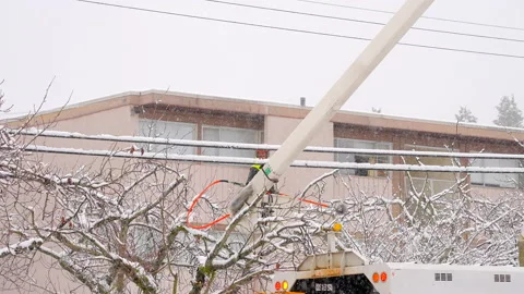 CUTTING TREES AFTER HEAVY SNOWFALL | Stock Video | Pond5