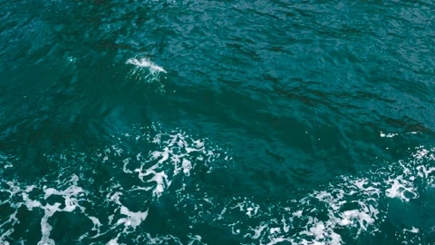 Cyan Sea Water Surface with Waves and Fo... | Stock Video | Pond5