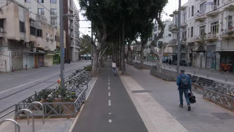 Cyclist in a tree-lined bike path in the... | Stock Video | Pond5